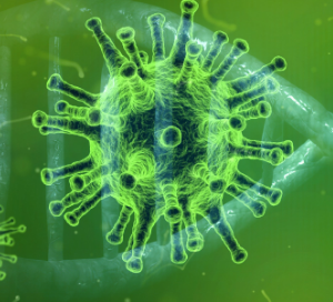 NVAMG | Nederlandse Vereniging van Artsen voor Musculoskeletale Geneeskunde